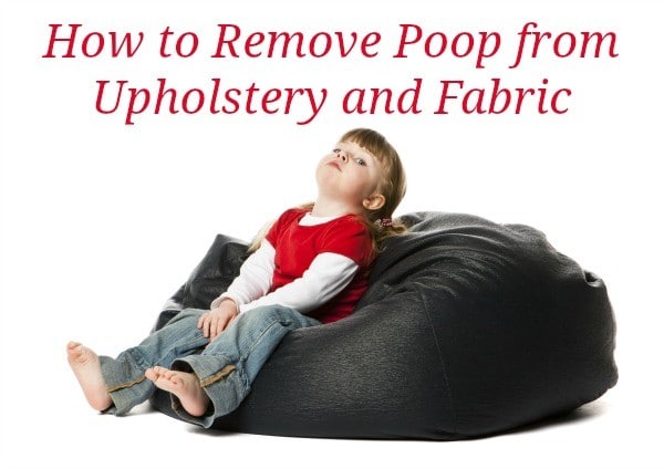 How to Remove Poop from Upholstery and Fabric - Home-Ec 101